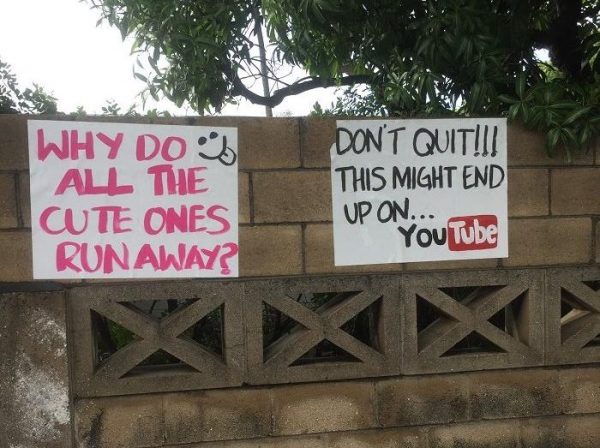 90 Funny & Motivational Race Signs | Marathon Posters & Banners
