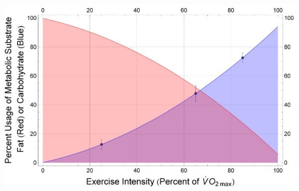 VO2 Max Chart: What's a Good VO2 Max and Why it's Important