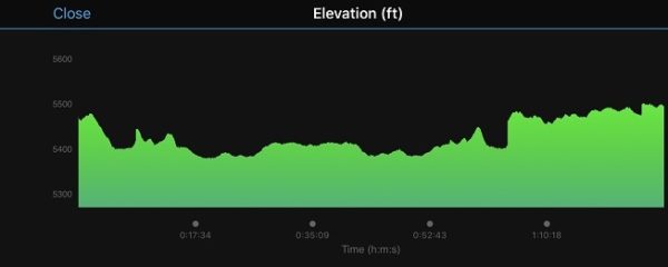 Run Data Analysis: How To Use All that Info From Your Watch