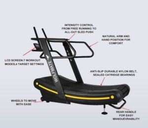 Are Curved Treadmills Better? And the Best Ones for 2024