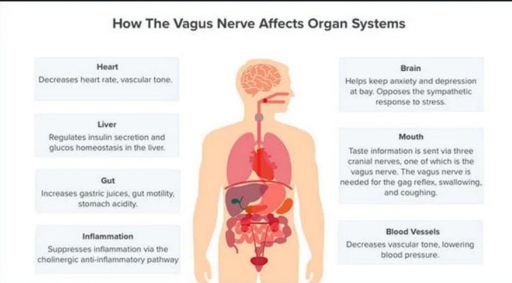 9 Ice Bath Benefits and When NOT to Take One
