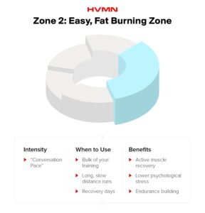 Zone 2 Heart Rate Training Explained | How and Why It Matters