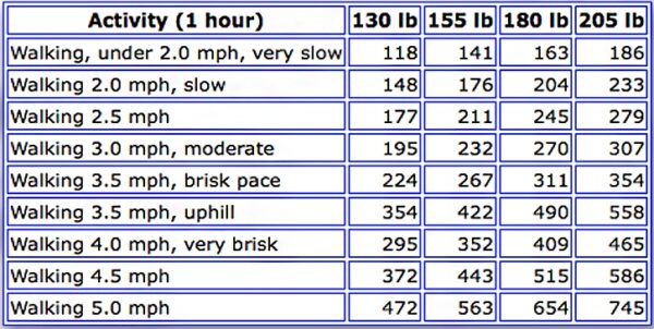 5 Best Treadmill Walking Workouts for Every Level