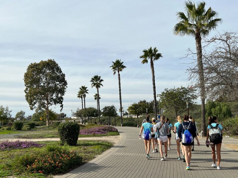 Walking 2 Miles a Day: Benefits, Tips and How to Get Started